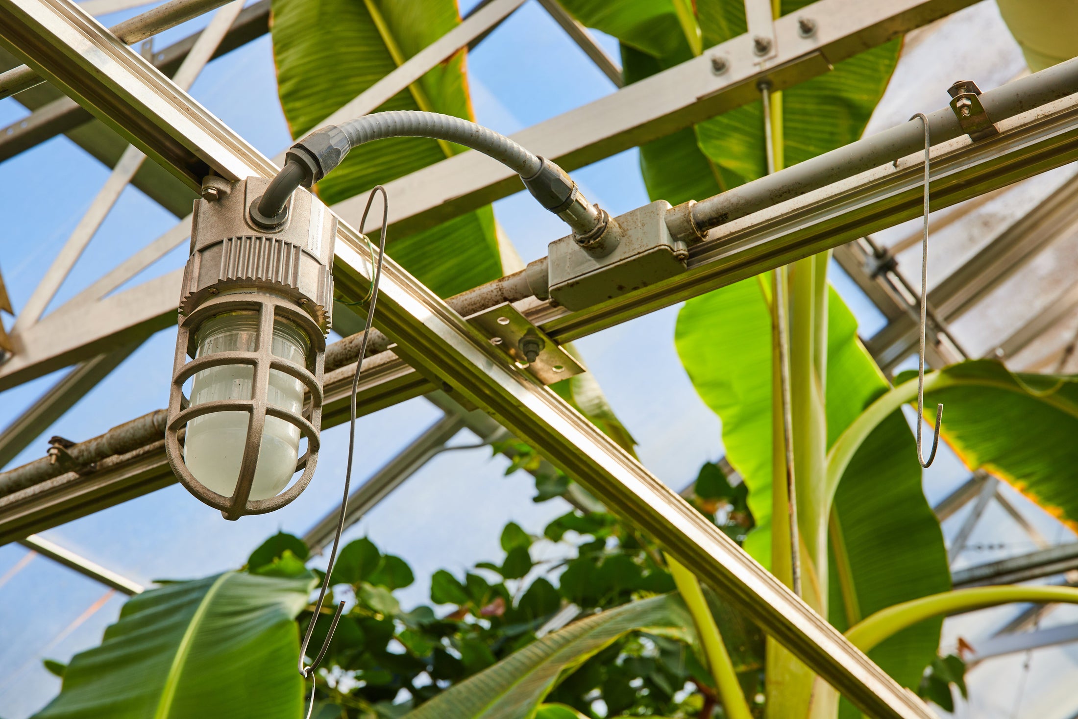 Boosting Greenhouse Efficiency | Upgrades to Make Your Greenhouse Work ...