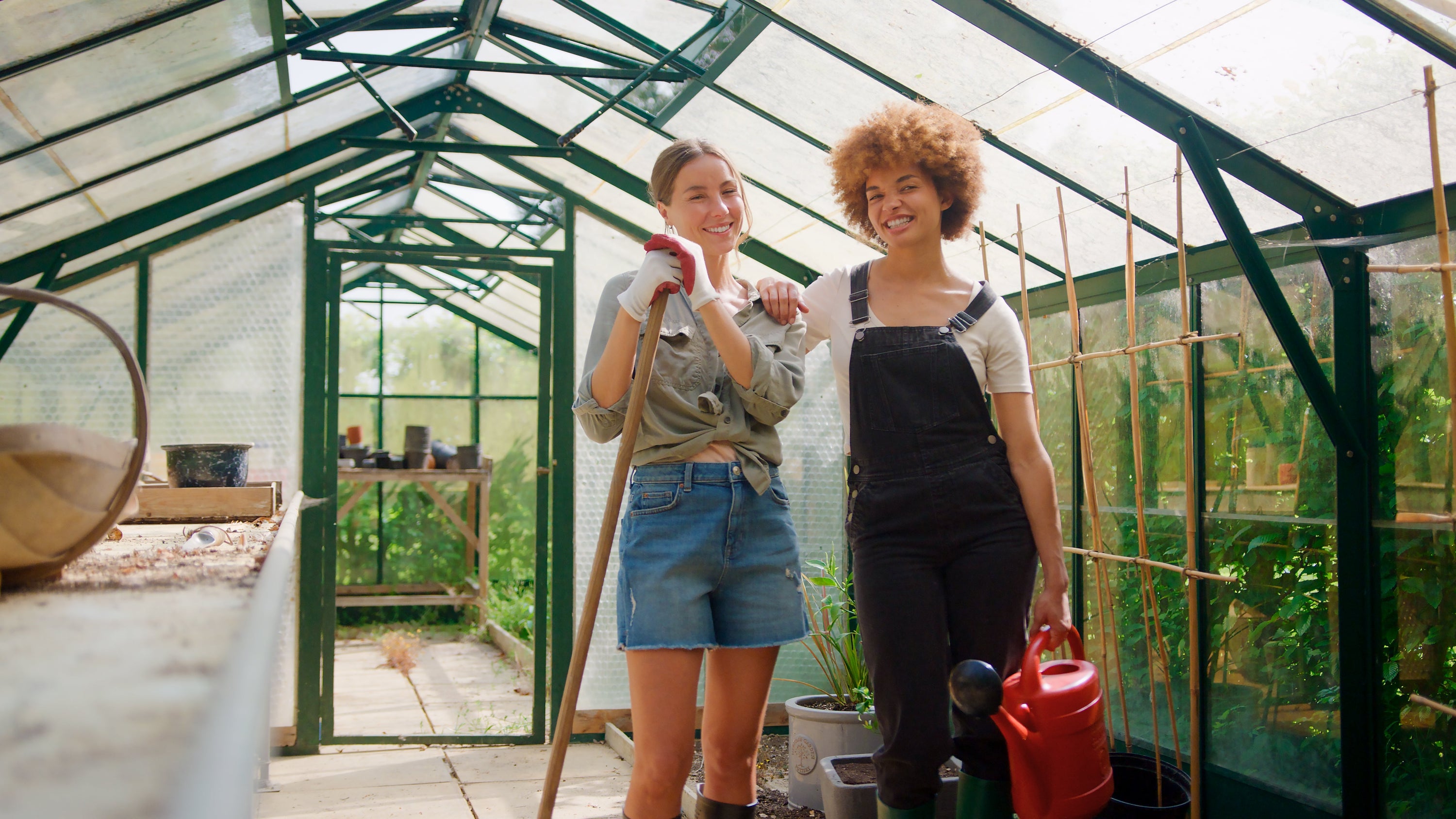 Year-Round Gardening Solutions: What You Need to Know – GreenhouseToGrow