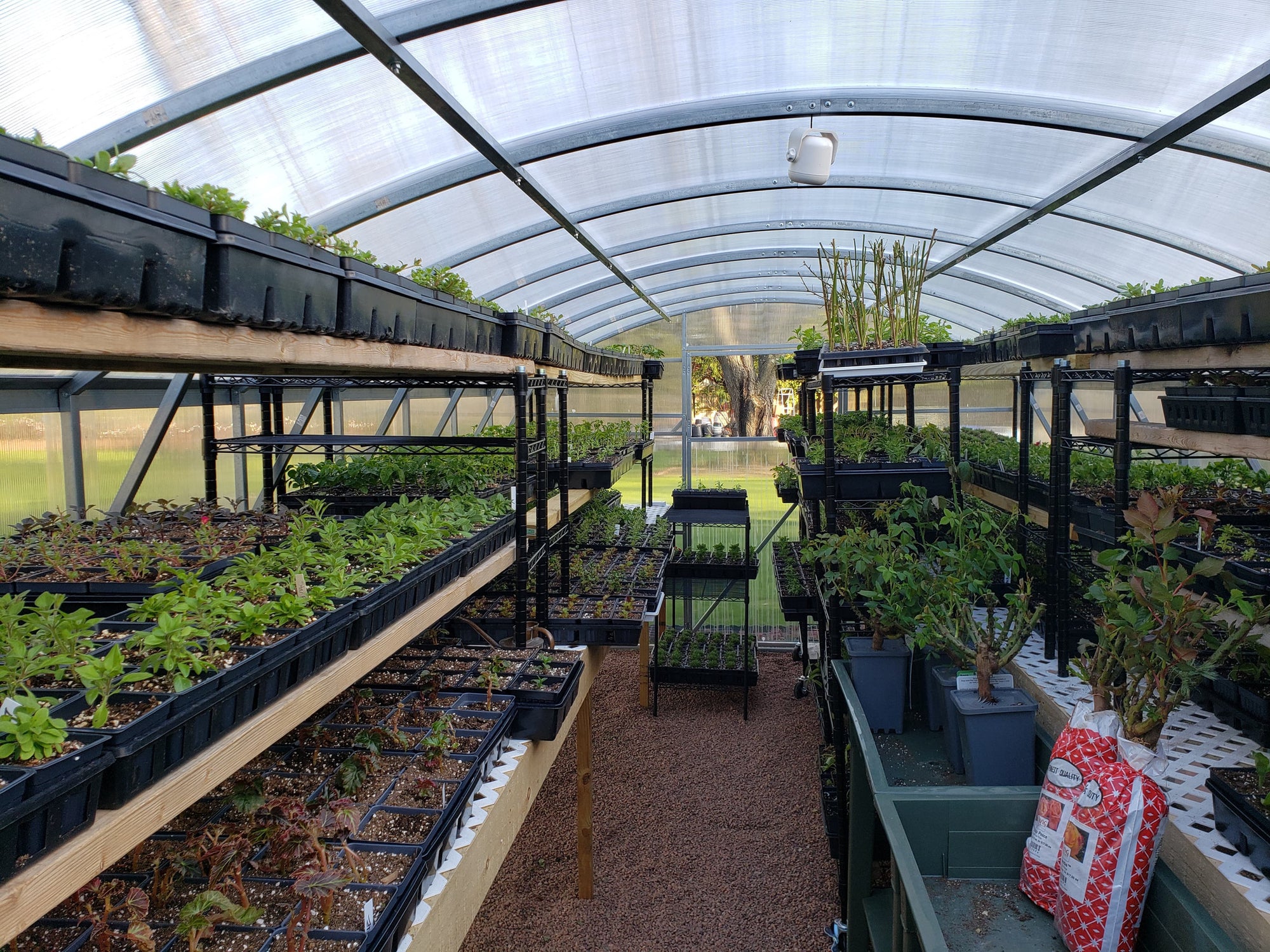 DIY Greenhouse Kits for Your Backyard and Garden – GreenhouseToGrow